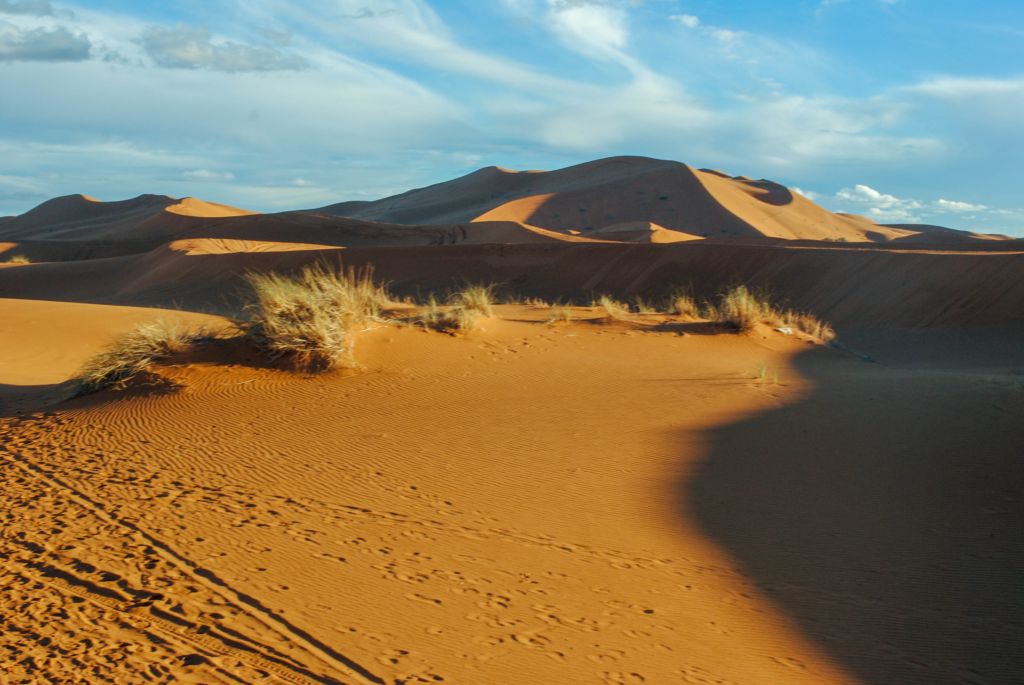 Home - Desert Strength
